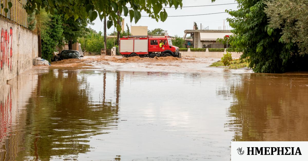 Κακοκαιρία Elias: 112 στο Μαντούδι Ευβοίας - «Κραυγή» δημάρχου στο Open: «Εχουν υπερχειλίσει τα ...